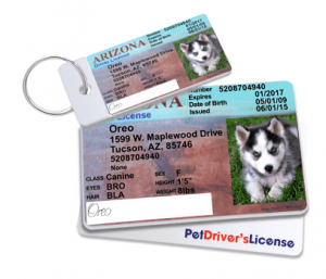 Pet Driver’s License ID Cards – Pet Drivers License