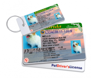 Pet Driver’s License ID Cards – Pet Drivers License