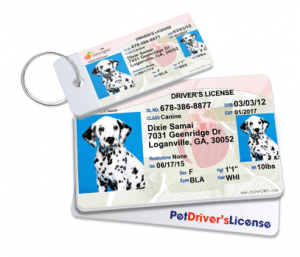 Pet Driver’s License ID Cards – Pet Drivers License