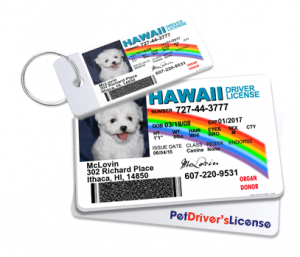 Pet Driver’s License ID Cards – Pet Drivers License