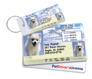 Pet Driver’s License ID Cards – Pet Drivers License