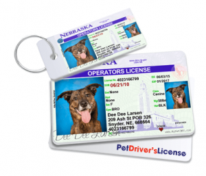 Pet Driver’s License ID Cards – Pet Drivers License