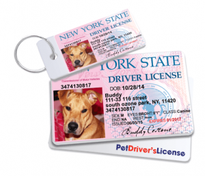 Pet Driver’s License ID Cards – Pet Drivers License