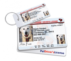 Pet Driver’s License ID Cards – Pet Drivers License